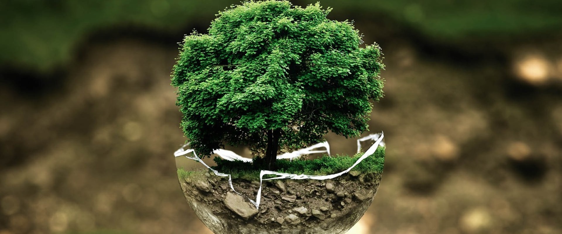 Content-Based Instruction (CBI): A Comprehensive Overview